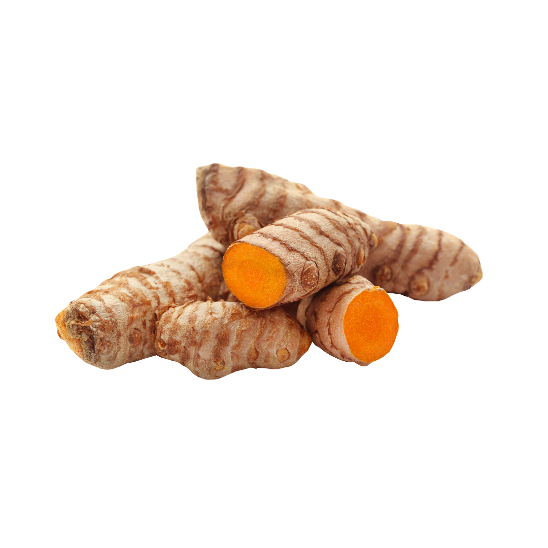 CURCUMA FRAIS 100 g — konu-shop